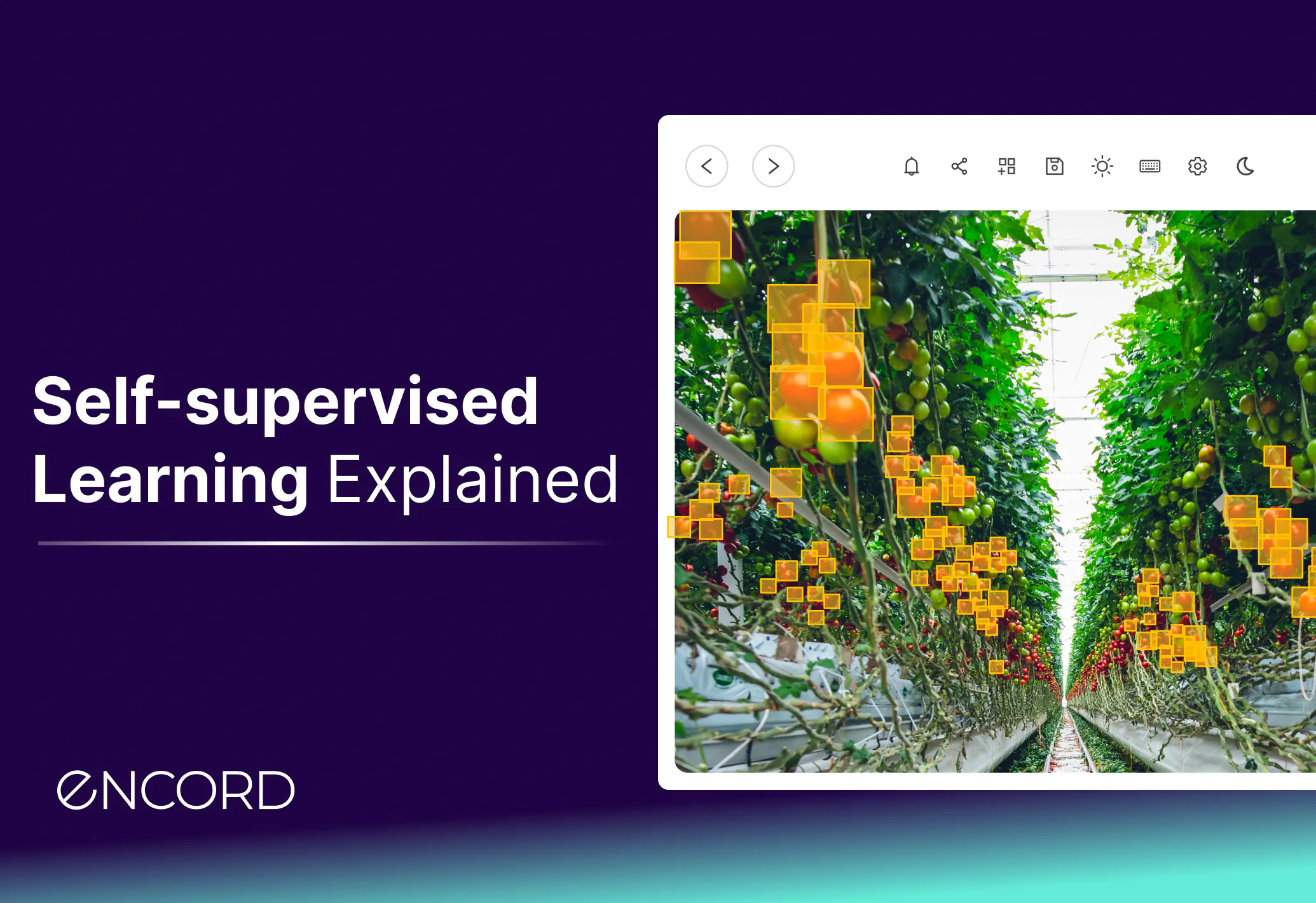 The Complete Guide To Self supervised Learning Encord The Complete Guide To Self supervised Learning Encord